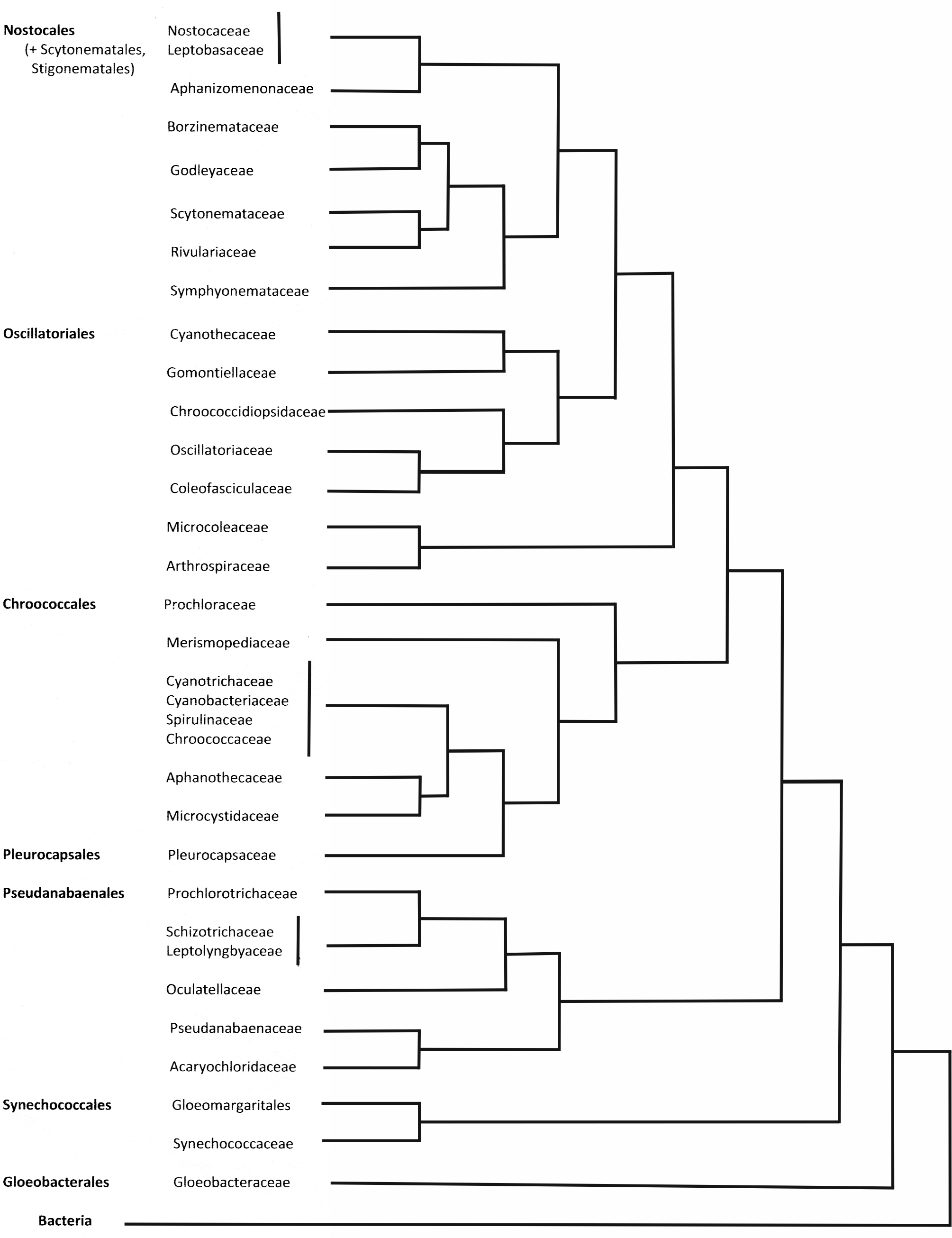 Fottea: Taxonomic review of cyanobacteria 2021/2022 according to ...